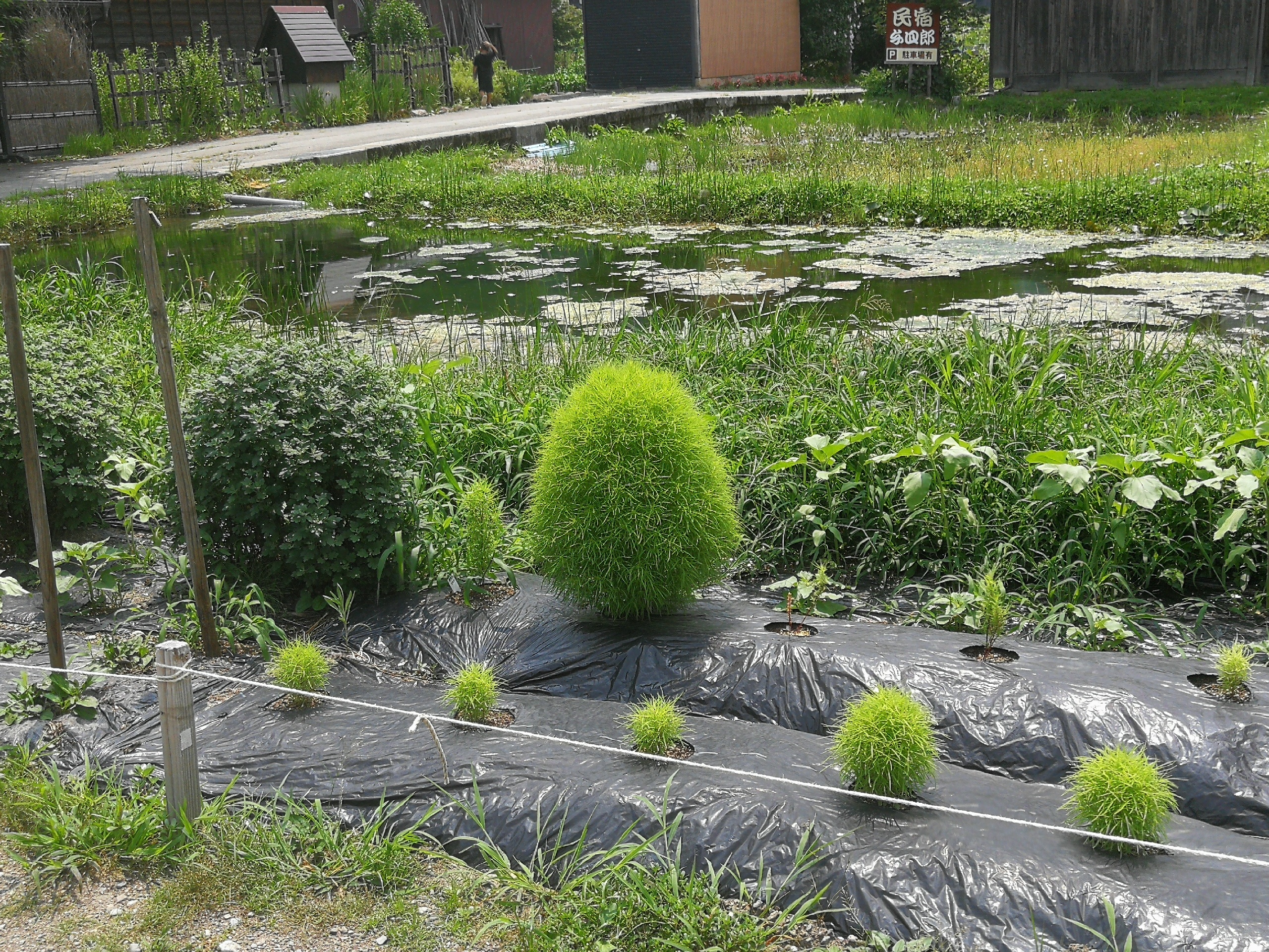 白川乡攻略,门票_地址,游览攻略 - 马蜂窝