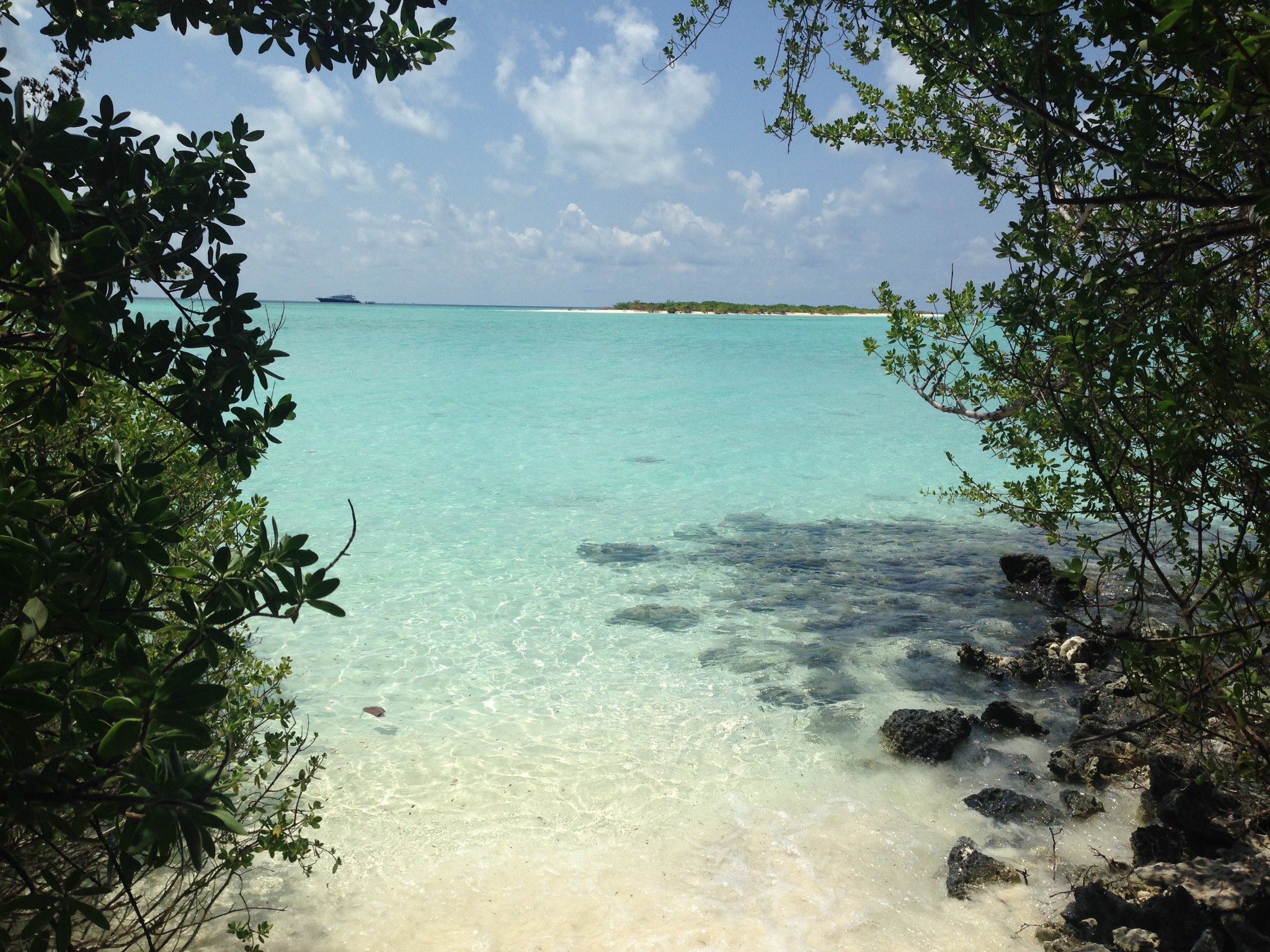 4度游马尔代夫，最美居民岛Rasdhoo最全攻略海量高清原图。 - 蚂蜂窝