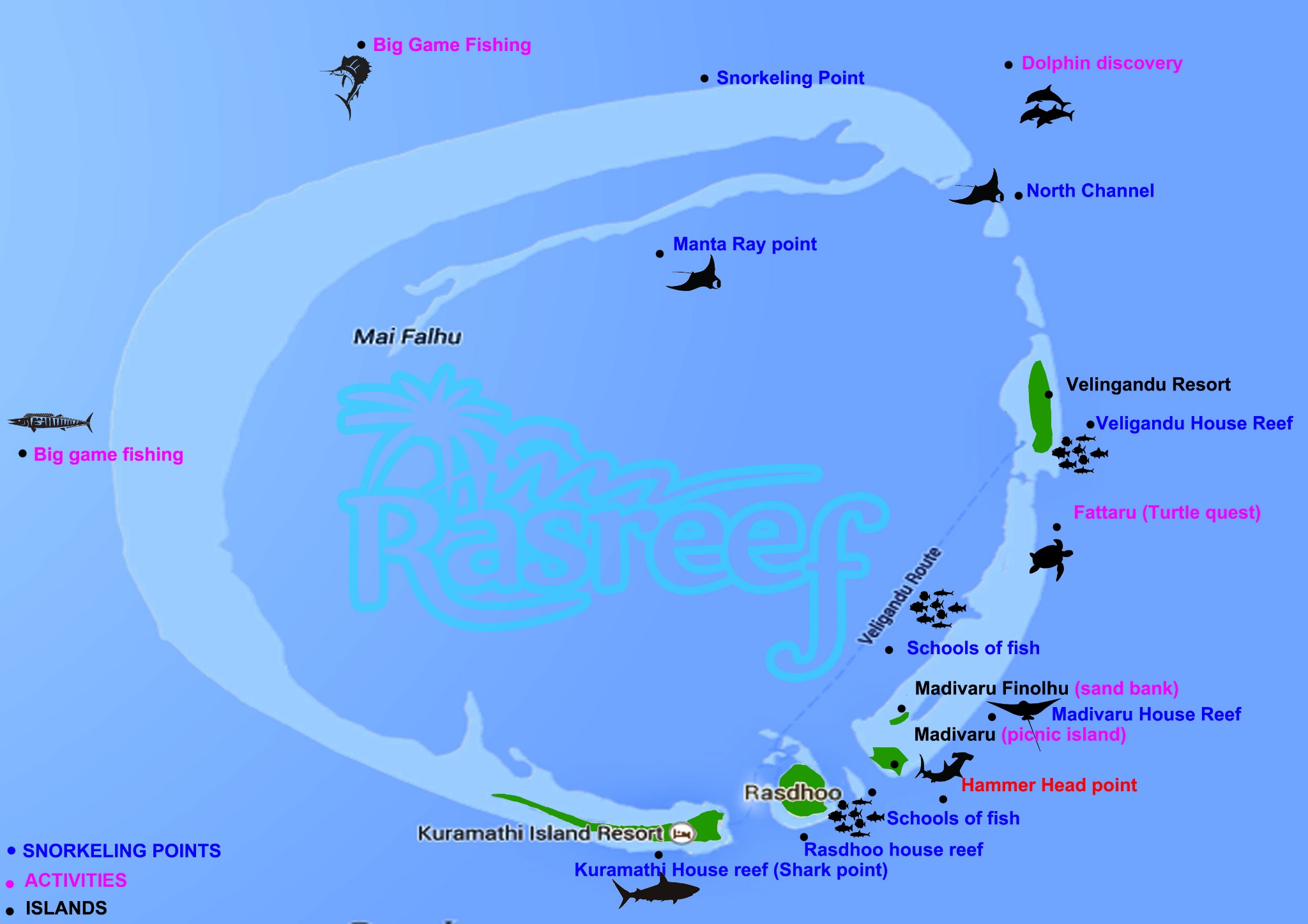 4度游马尔代夫，最美居民岛Rasdhoo最全攻略海量高清原图。 - 蚂蜂窝